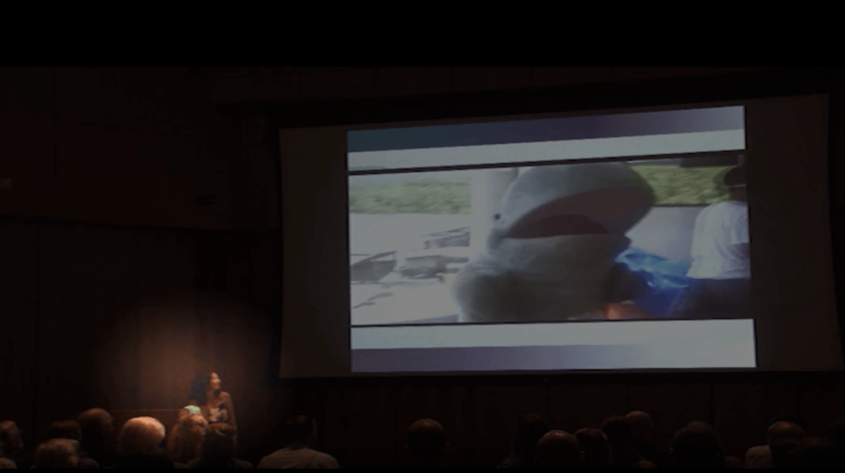 Ta-Daaaa: Defense Presentation Video! – Tara Sayuri Whitty